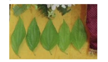 Bringing Lord Ganesha Home : A step by step guide. - A-Desiflava Magazine